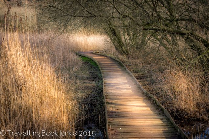 Thorpe Forest: A Luxury Woodland Retreat in Norfolk