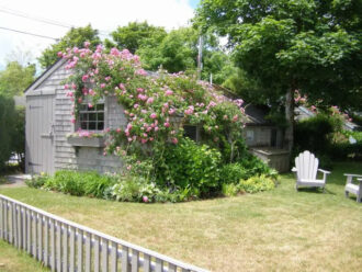 5 reasons to visit Nantucket in June - Travelling Book Junkie